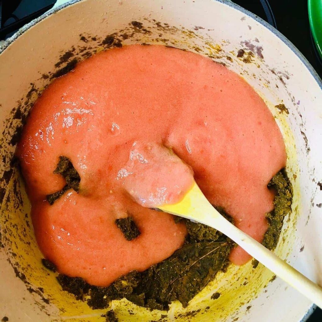 Indian Sauce Cubes - Kitchen Hack - Kitchen and Other Stories