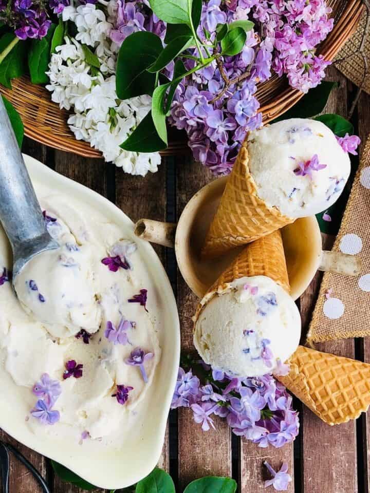 Courgette Pasta Sauce Recipe - Kitchen and Other Stories