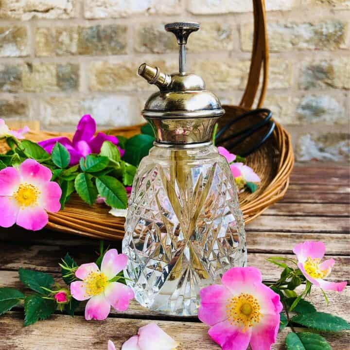 Rose Water - Kitchen and Other Stories