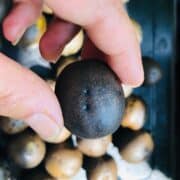 Pickled Walnuts Recipe - Kitchen and Other Stories