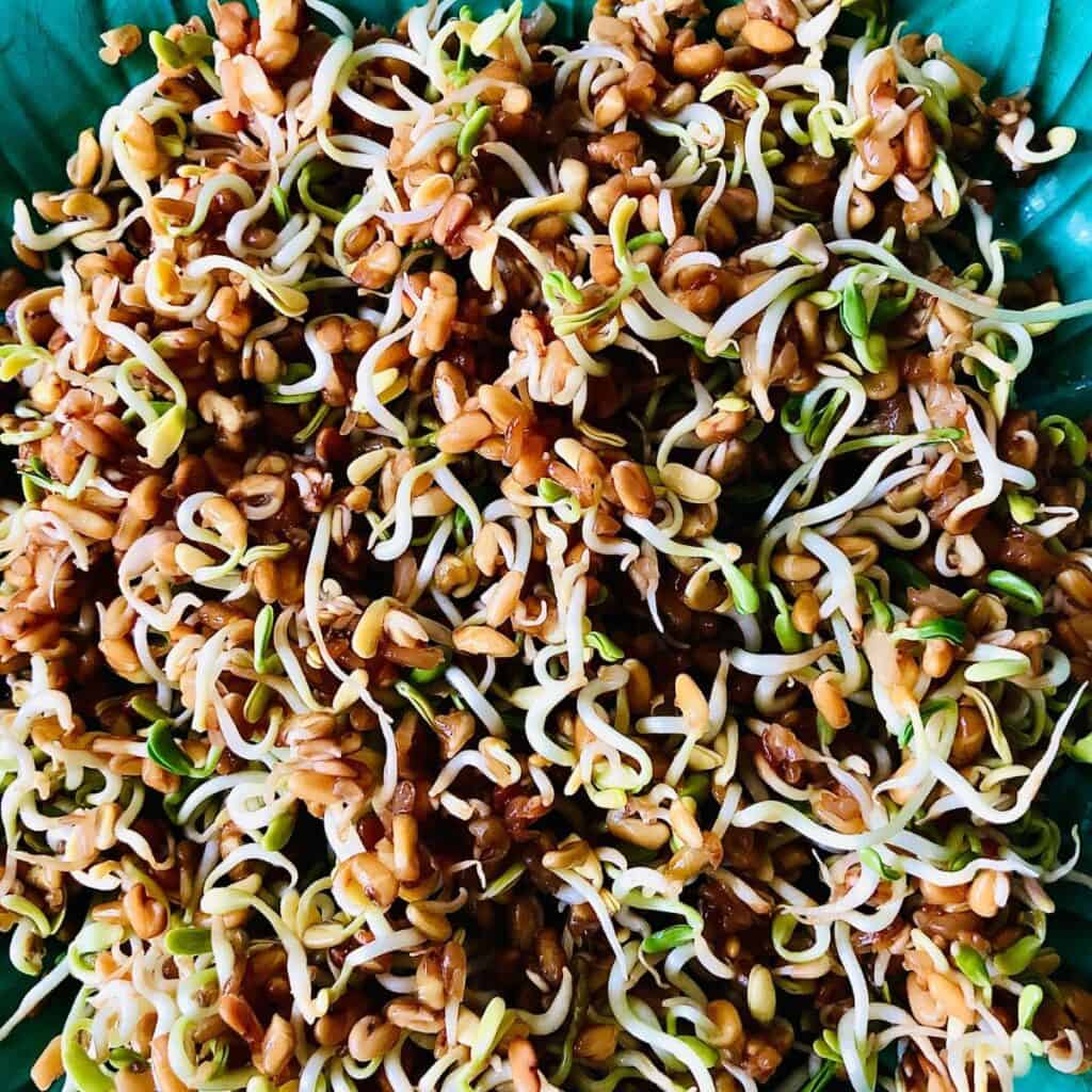Loaded Sweet Potato With Sprouts - Kitchen and Other Stories