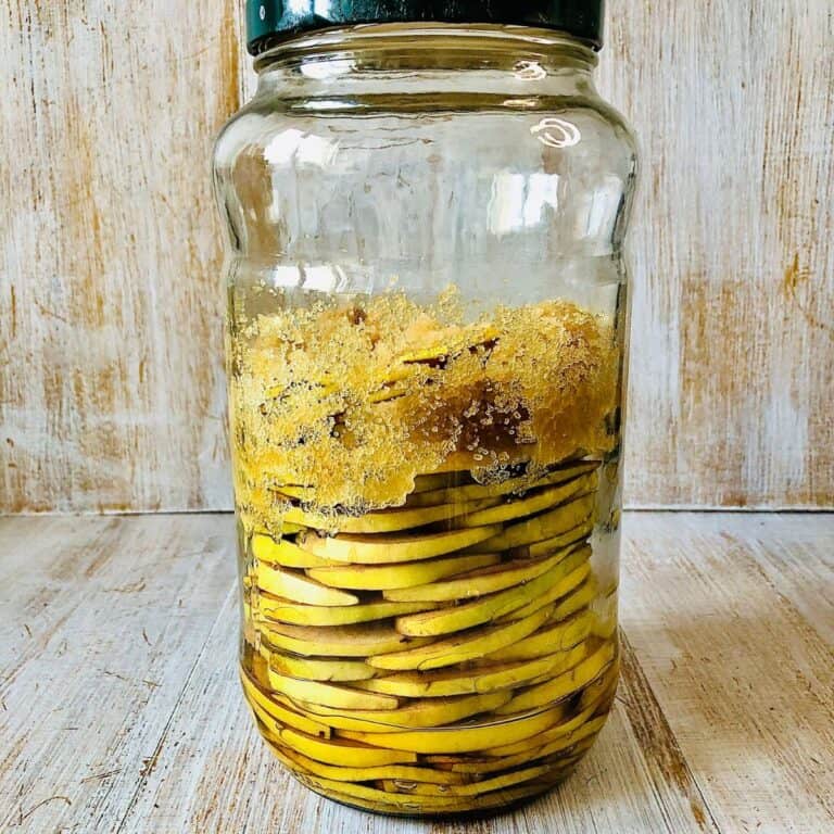 Dried Quince & Quince Syrup Recipe - Kitchen and Other Stories