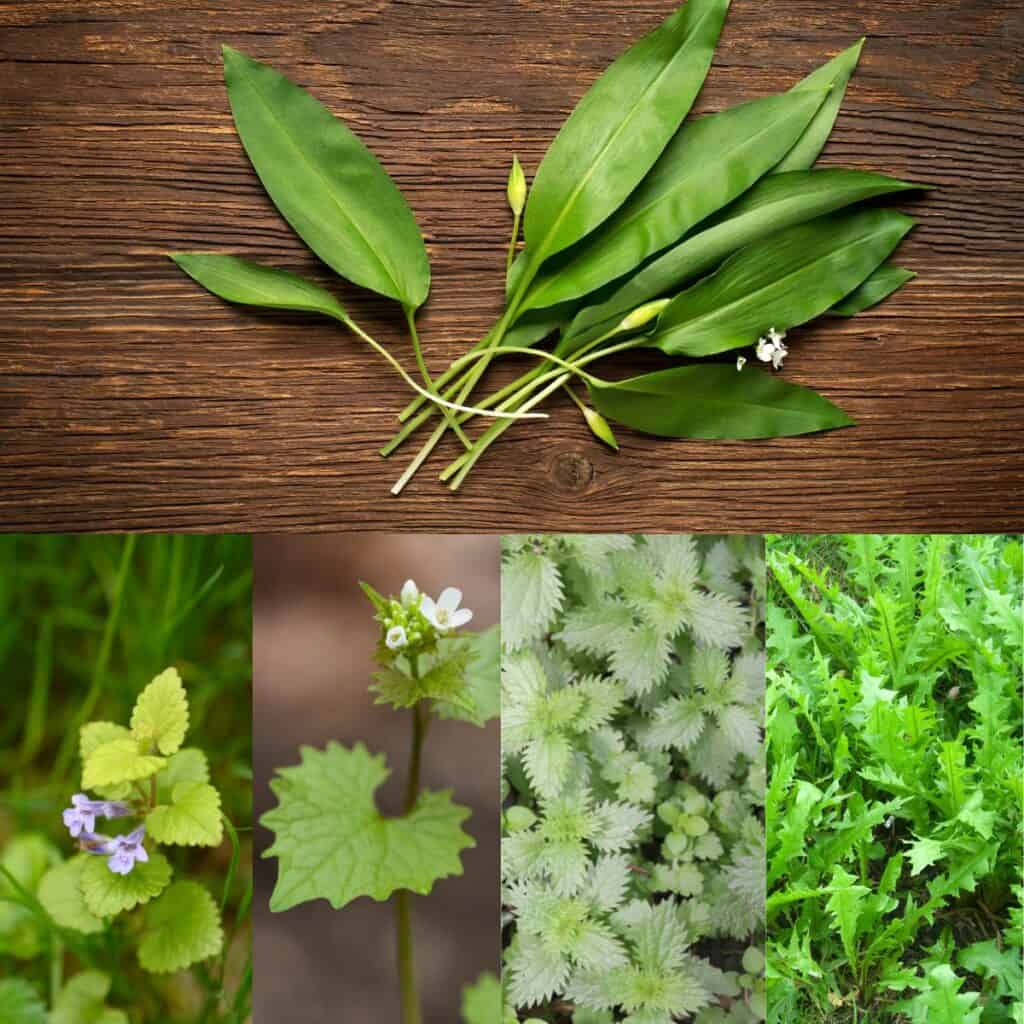 Pickled Walnuts Recipe - Kitchen and Other Stories