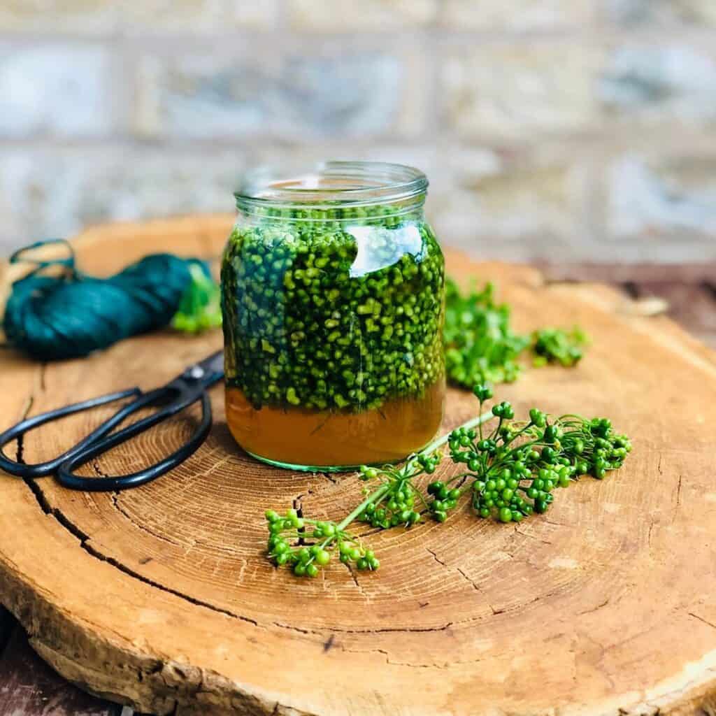 Wild Garlic Capers - Kitchen and Other Stories