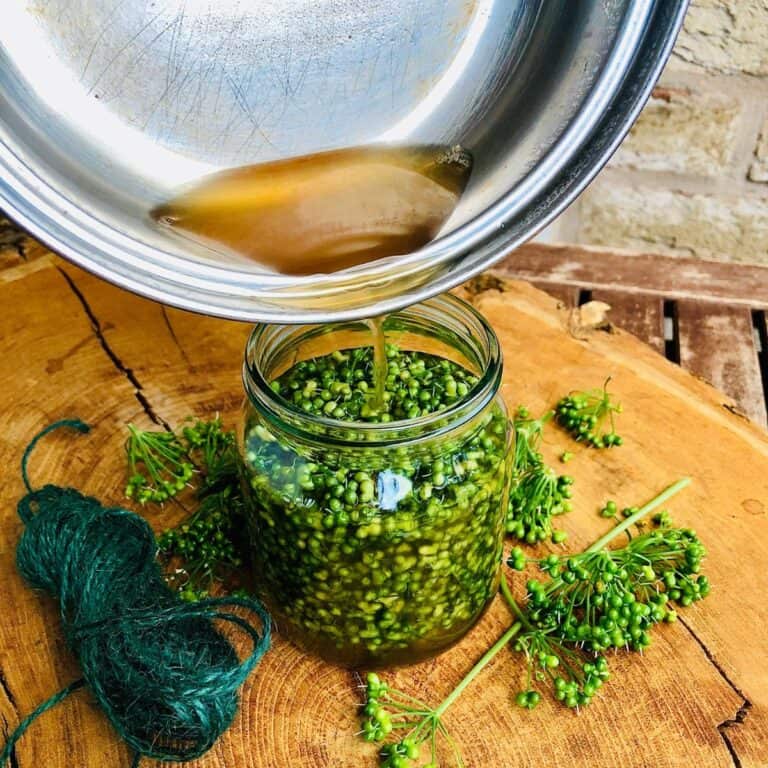 Wild Garlic Capers - Kitchen and Other Stories